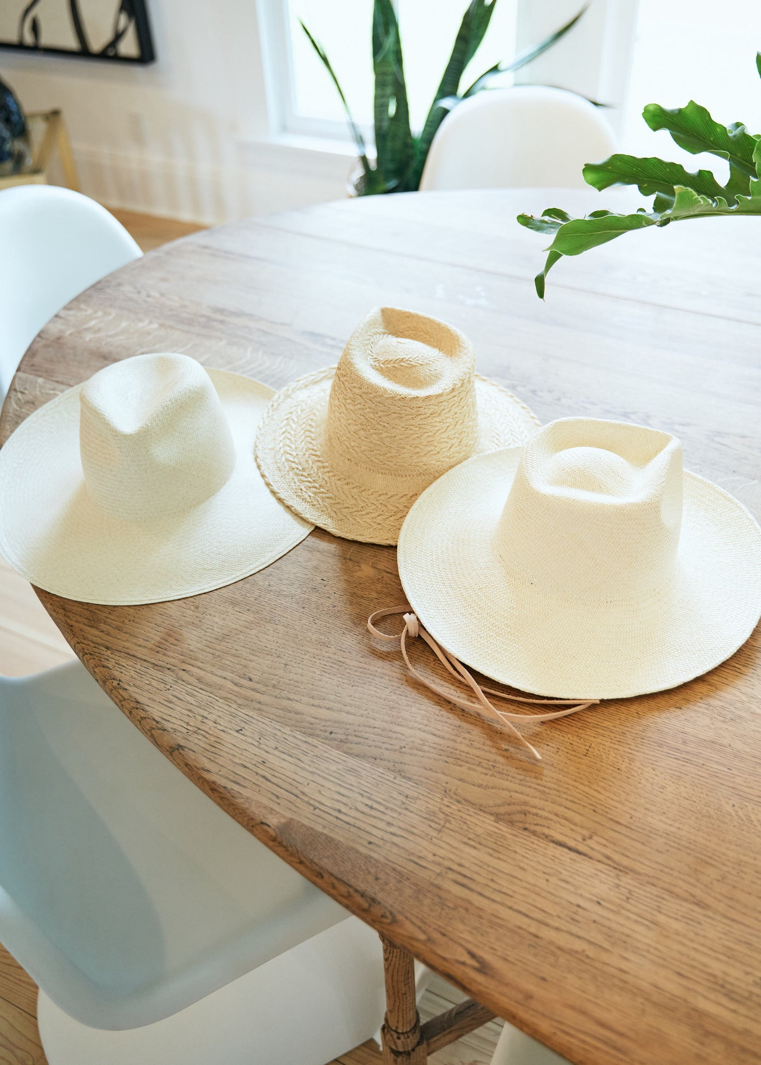 FAQ's – Sissy Light